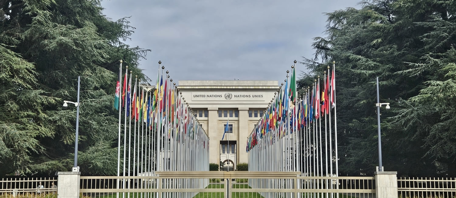 Publicaciones Venezuela La Emergencia De Derechos Humanos Exige