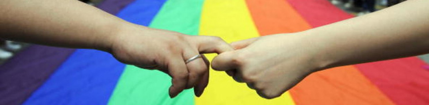 Nuestros temas - DERECHOS LGBTIQ+